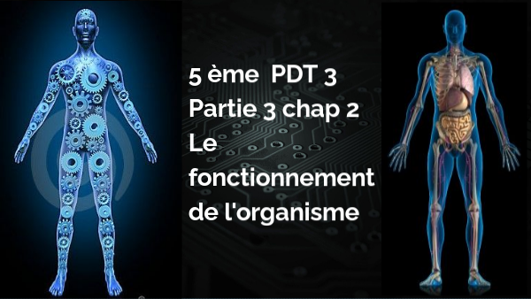 5 eme PDT 3 partie 3 chap 2 | Genially