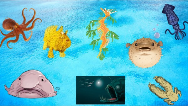 ABP Let's take care of sea life! | Genially