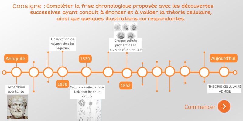 1ES_Chap1_Activité1 | Genially