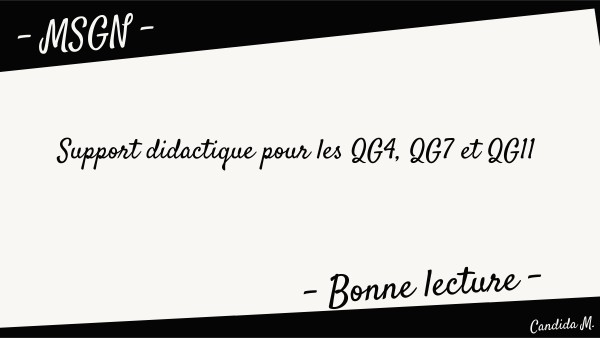 MSGN Classe inversée QG7+QG11