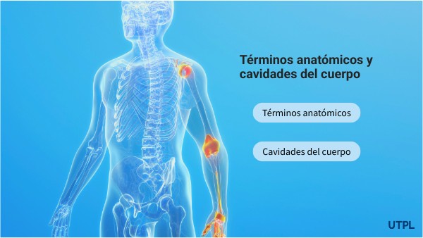Términos anatómicos y cavidades del cuerpo