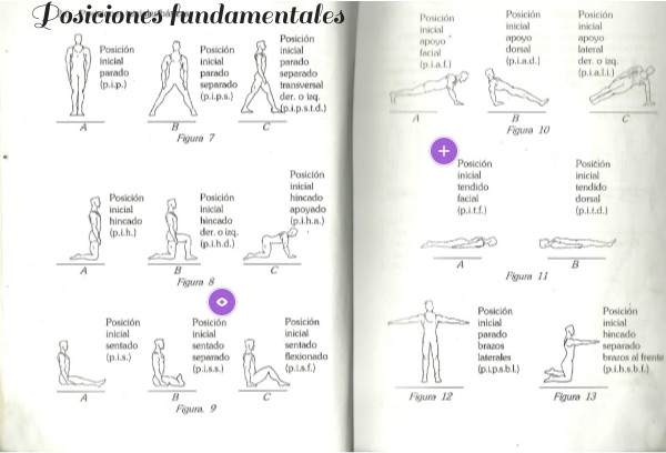 Posiciones fundamentales