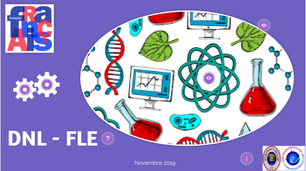 Présentation DNL-FLE 22/11/19 | Genially