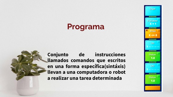 programa
