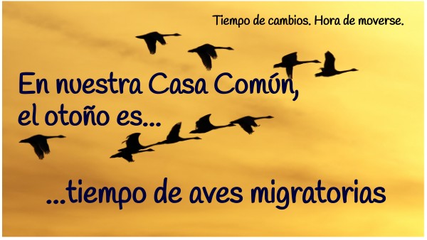 10 - tiempo de aves migratorias | Genially