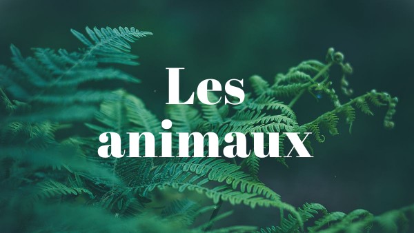 Les animaux