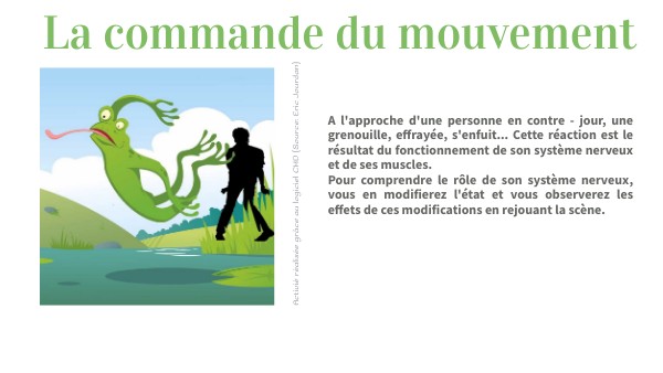 La commande du mouvement | Genially