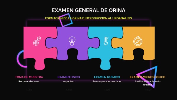 EGO Examen general de orina | Genially