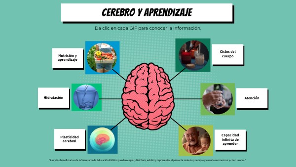 Cerebro y aprendizaje | Genially