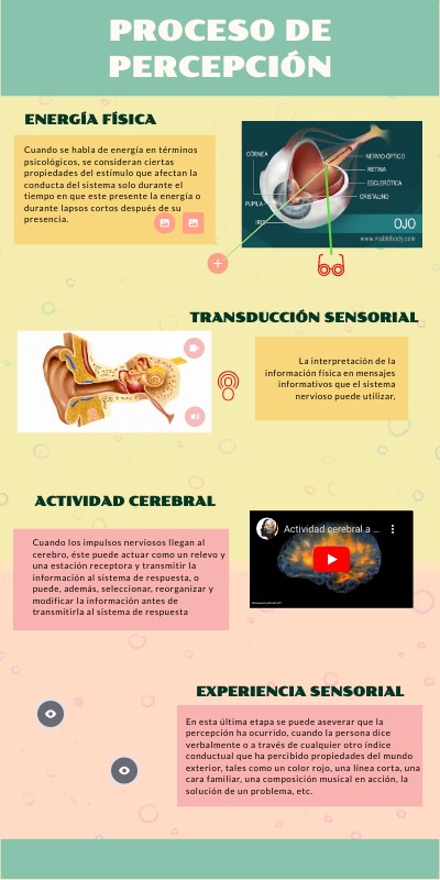 Proceso de Percepción | Genially