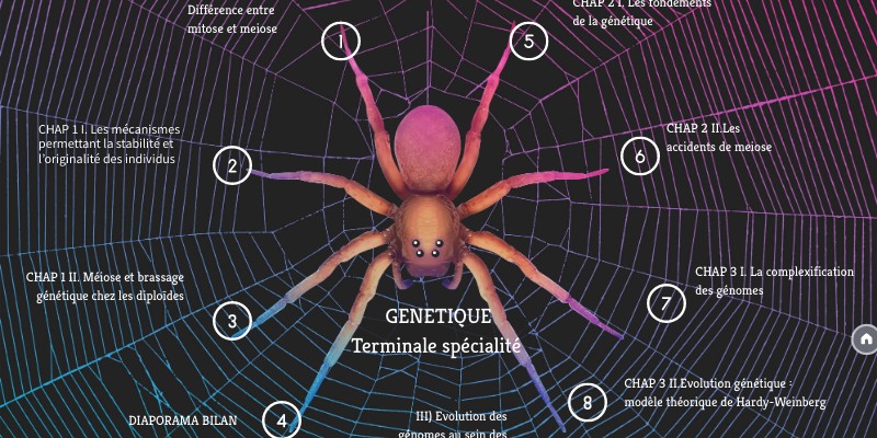 TERM 1A GENETIQUE | Genially