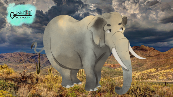 Describing Animals | Genially