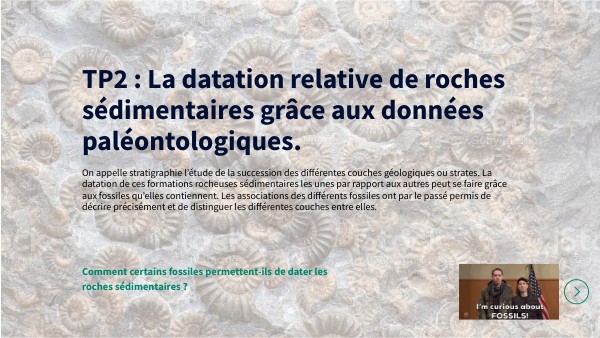 TP2 Indices paléontologiques | Genially