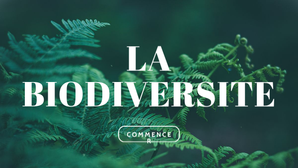 La biodiversité BIS | Genially