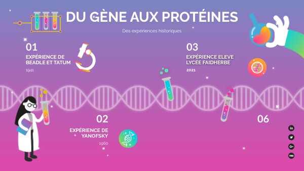 1SPE Gène Protéine | Genially