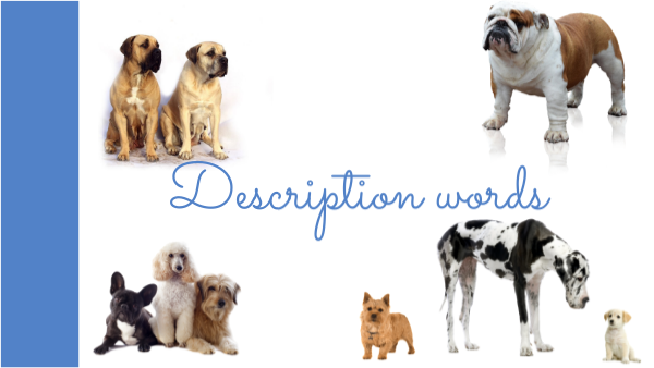 GUP2U5 Dog Poem & adjectives | Genially
