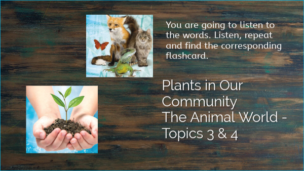 Natural Science 2nd Vocabulary Topic 4
