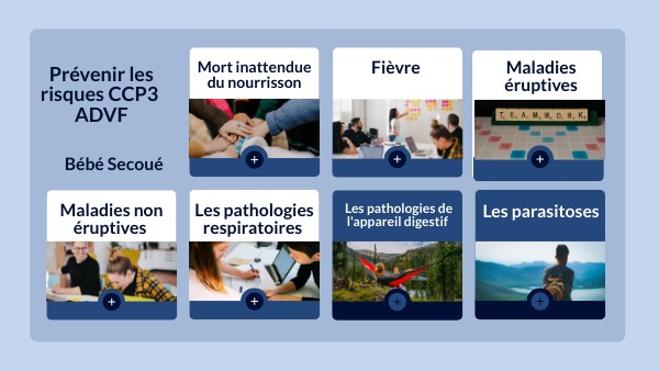 Prévenir les risques CCP3 ADVF