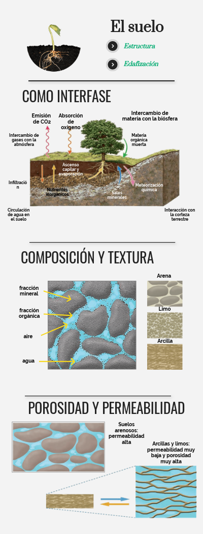 CN9U3_El Suelo | Genially