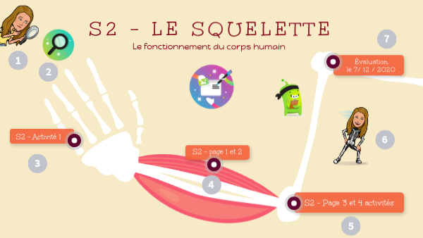 Le squelette - S2 BLOG | Genially