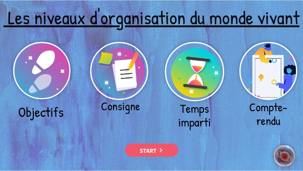 Niveaux d'organisation du monde vivant | Genially