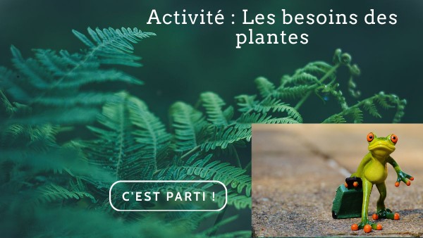M4 Besoins des plantes 20232024 New | Genially