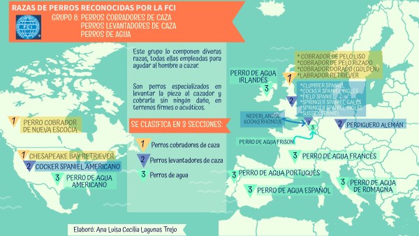 FCI - Grupo 8
