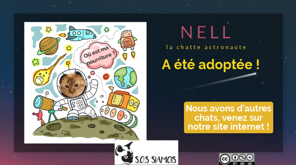 SSFS - Nell | Genially