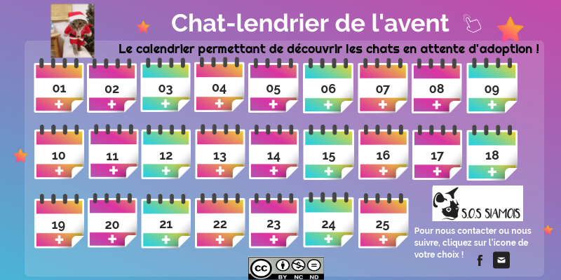 Calendrier avent | Genially