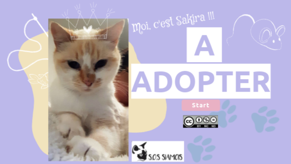Adoption Sakira