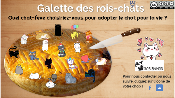 Galette des rois chats