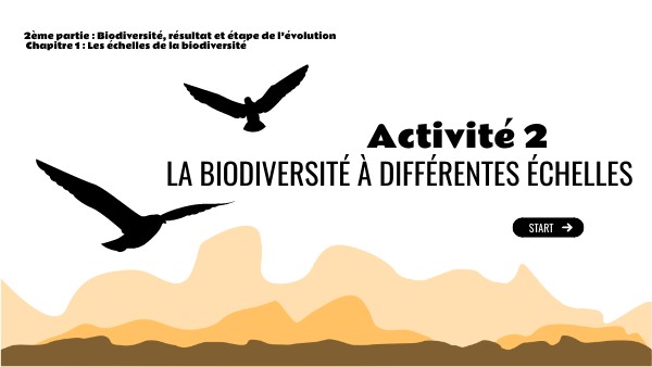 2nde - II- Chap 1 - Act2 - sans MDP | Genially