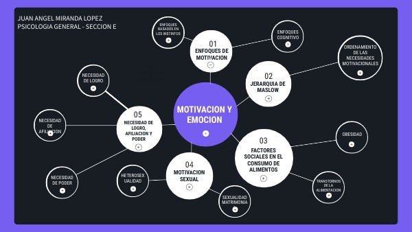 MAPA CONCEPTUAL CAP 8