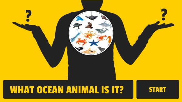 What animial is it? Ocean