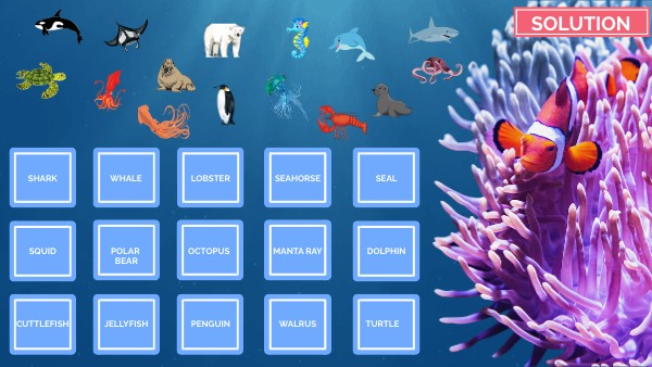ORGANIZE OCEAN ANIMALS