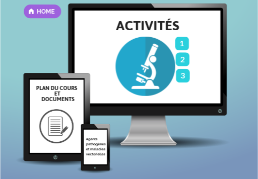 Agents pathogènes et maladies vectoriell | Genially