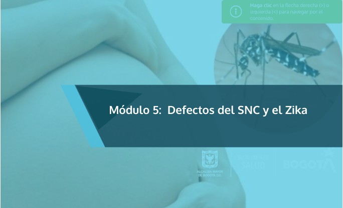 Congénitas curso2 m5