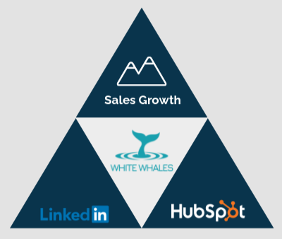 Sales Triangle - Homepage