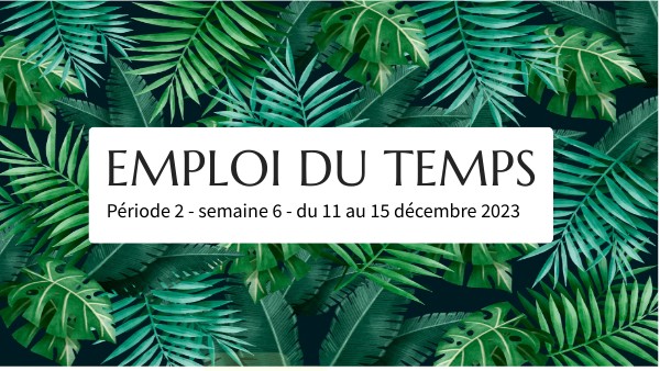 EDT période 2 - semaine 6