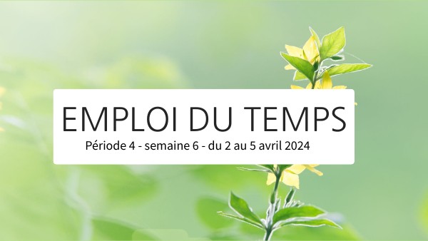 EDT période 4 - semaine 6