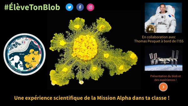 BLOB-Hucqueliers | Genially