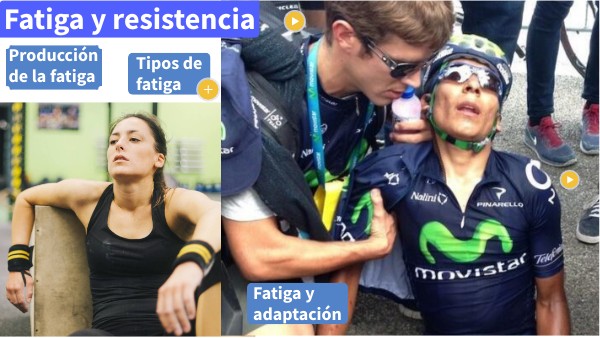 Fatiga en el deporte