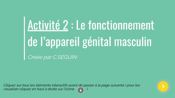 Le fonctionnement de l'appareil génital masculin