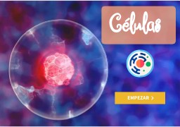 Células | Genially