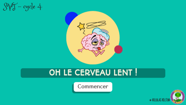 cycle 4 - perturbations du SN | Genially