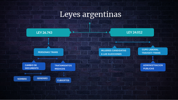 Mapa coceptual- Leyes Argentinas | Genially