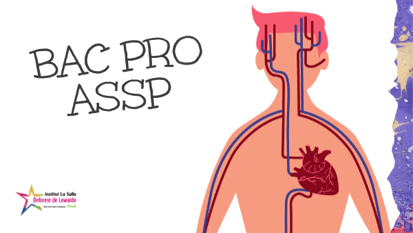 Présentation du bac pro ASSP | Genially