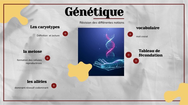 révision génétique 2023 | Genially