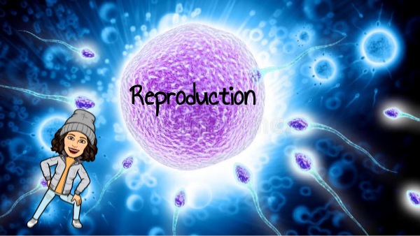 Reproduction | Genially
