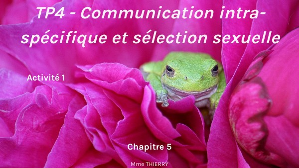 TP4 - Com. Activité 1 | Genially